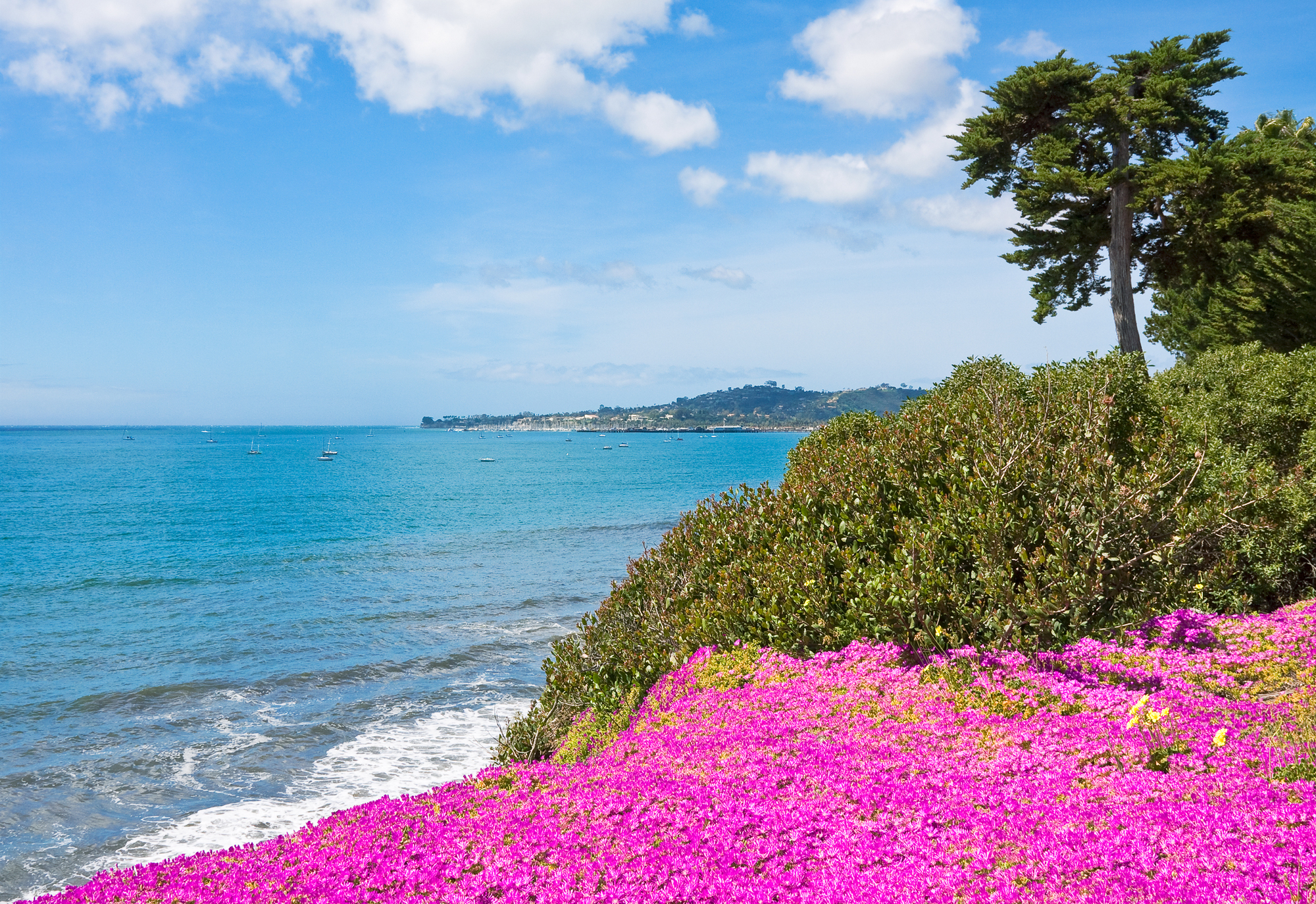 Spring Break Guide to Santa Barbara - Haller Coastal Homes